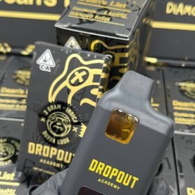 Dropout Academy Disposable - Best 3g Vape In 2025