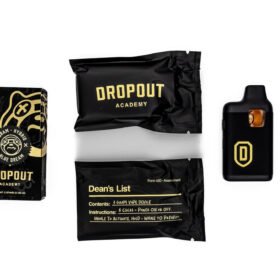 Dropout Academy Disposable - Best 3g Vape In 2025